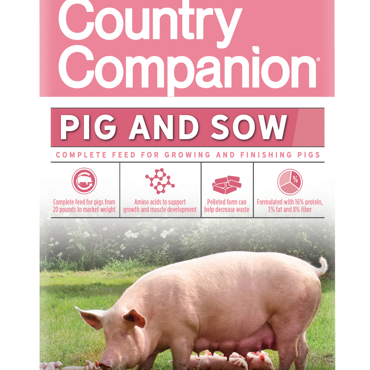Country Companion Pig And Sow Feed – JAXOutdoorGearFarmandRanch