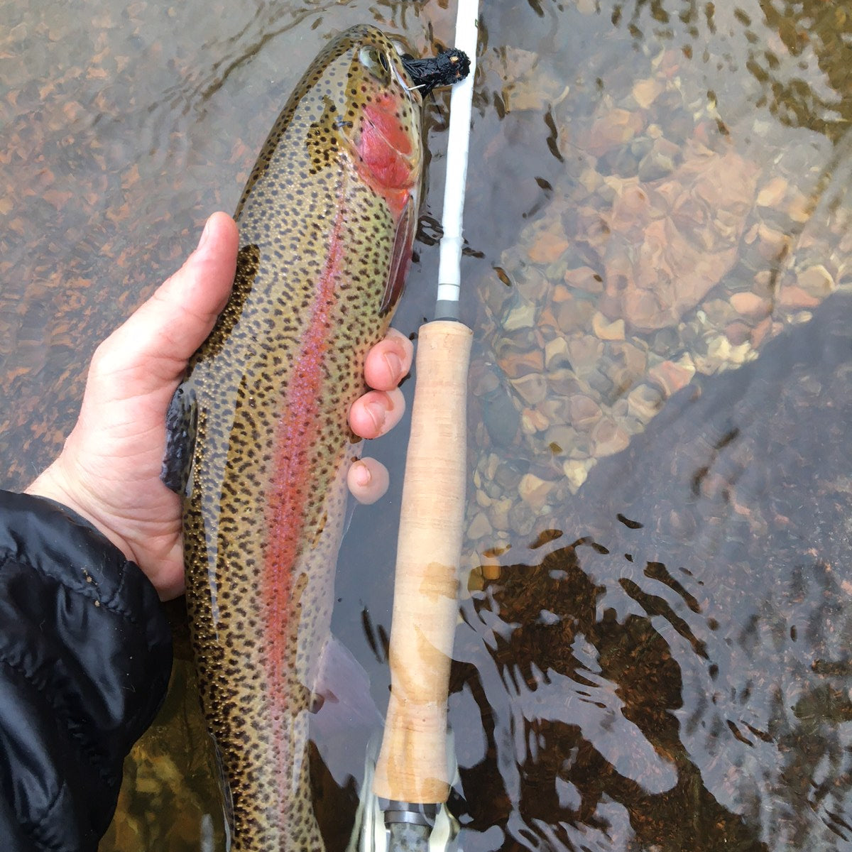 Fly Fishing in Colorado: The Best Spots and Gear from JAX ...