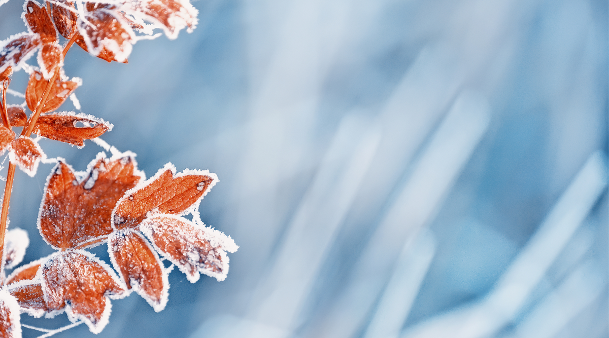 Get Set for Fall Freeze Checklist — JAXOutdoorGearFarmandRanch