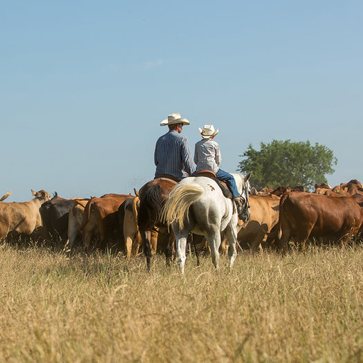 JAX Outdoor Gear, Farm & Ranch – JAXOutdoorGearFarmandRanch