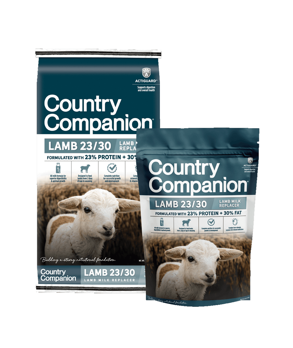 Country Companion Lamb 23/30 Milk Replacer – JAXOutdoorGearFarmandRanch