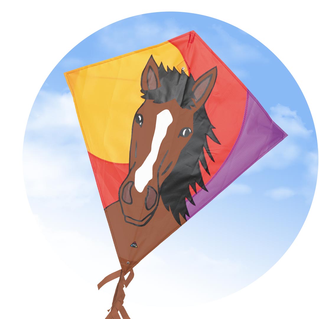 HQ Kites EDDY BRONCO — JAXOutdoorGearFarmandRanch